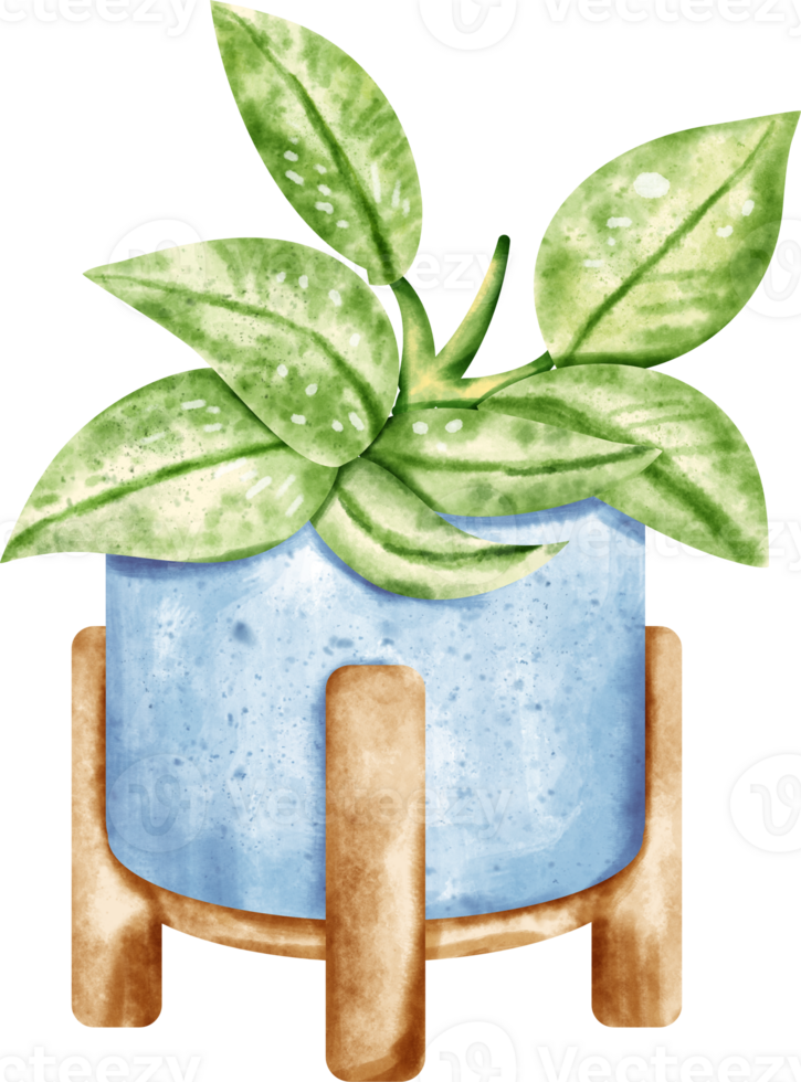 watercolor house plant 23324096 PNG