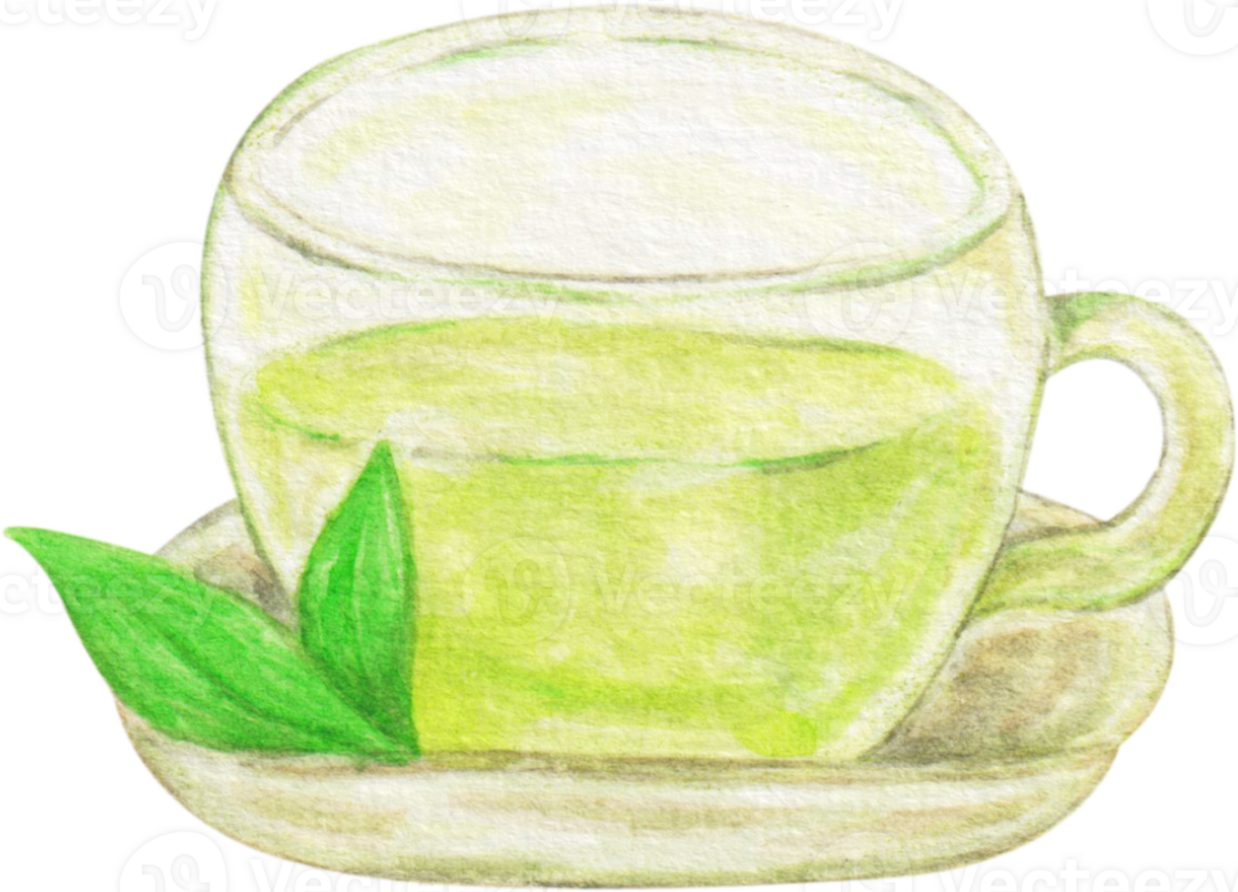 watercolor green tea 23324428 PNG