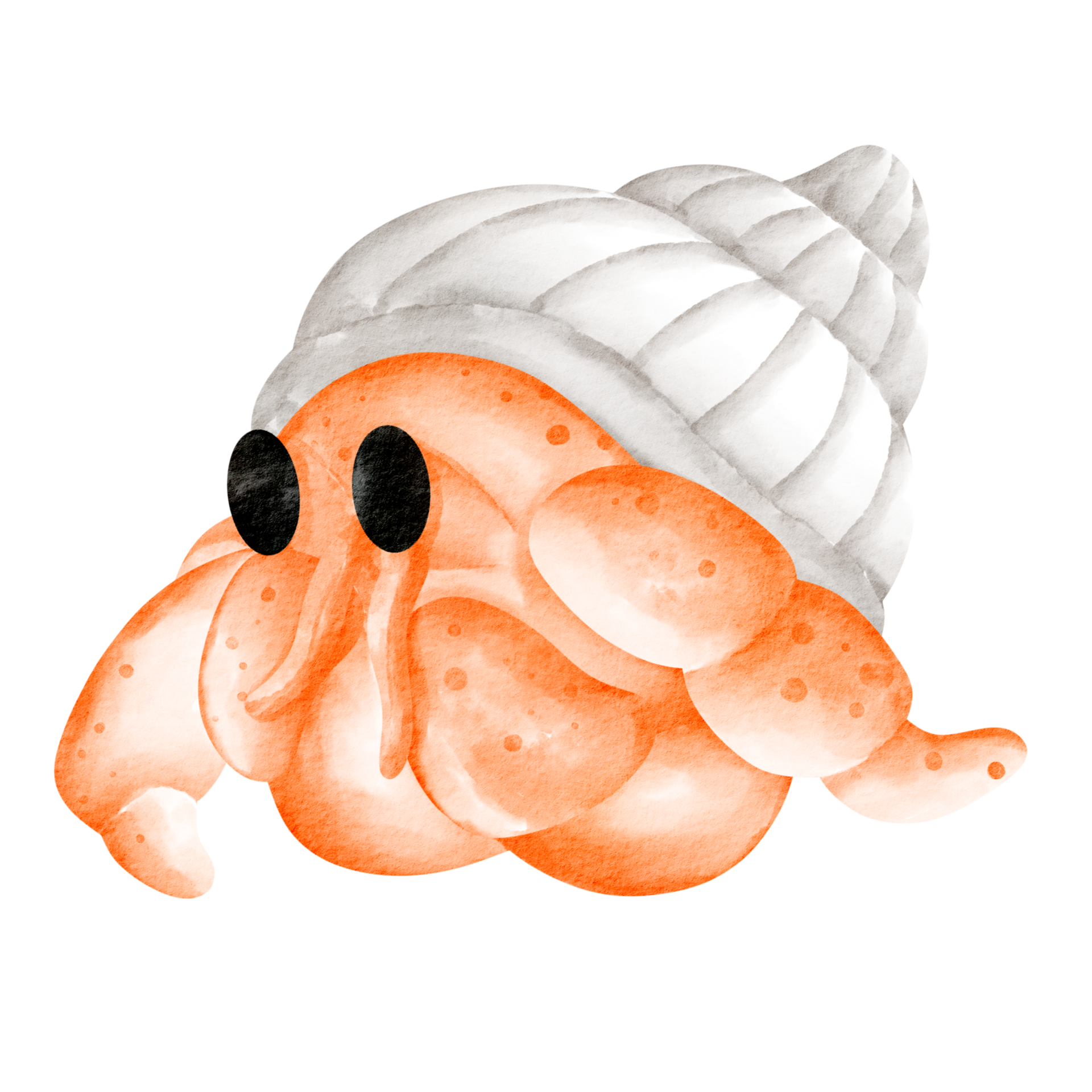 Hermit Crab Clip Art