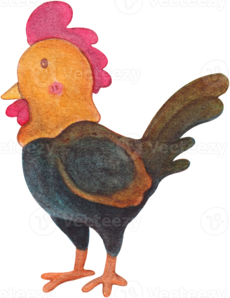 watercolor chicken animal farm 23324672 PNG