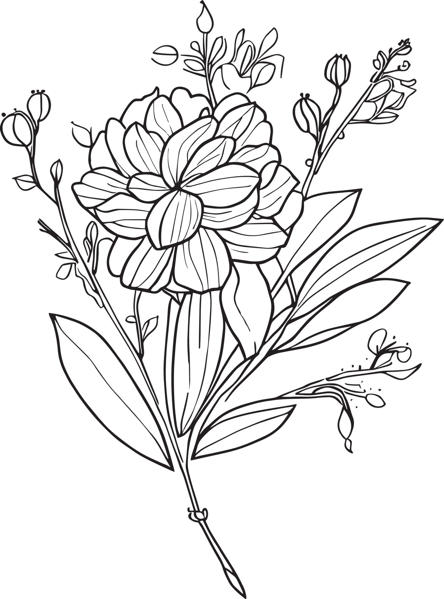 Set of botanical flower drawings, botanical line art. wildflower ...