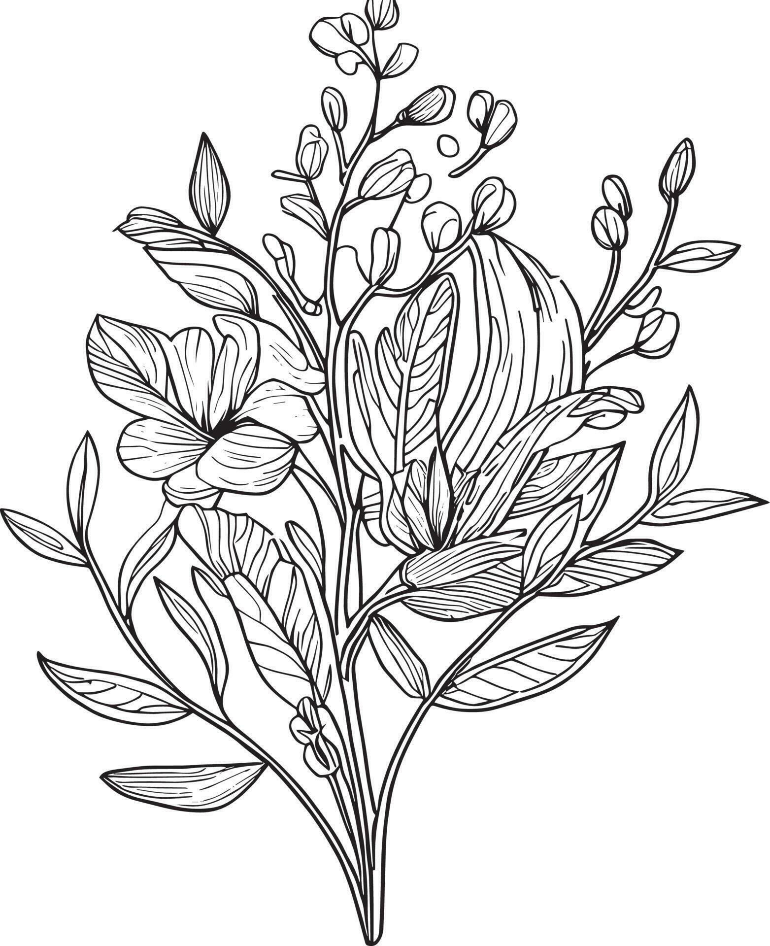 Set of botanical flower drawings, botanical line art. wildflower ...