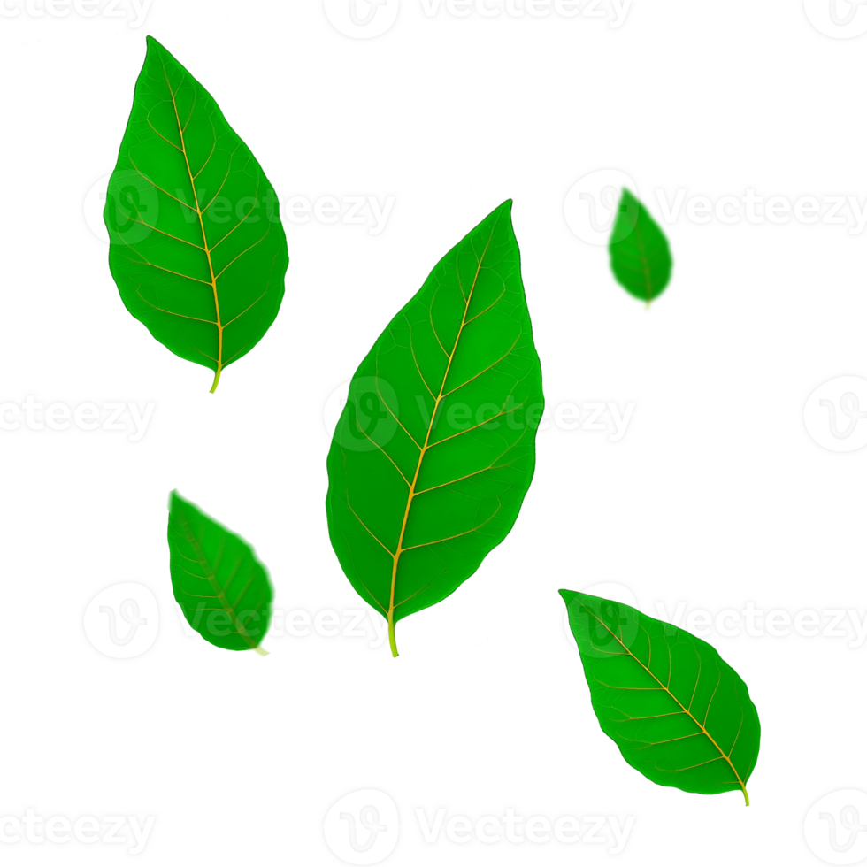 floating green leaves 23329524 PNG floating green leaves 23329524 PNG