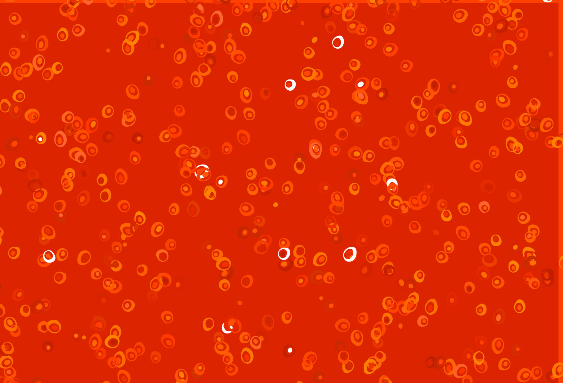 Light Orange Vector Layout With Circle Shapes 23332324 Vector Art At Vecteezy