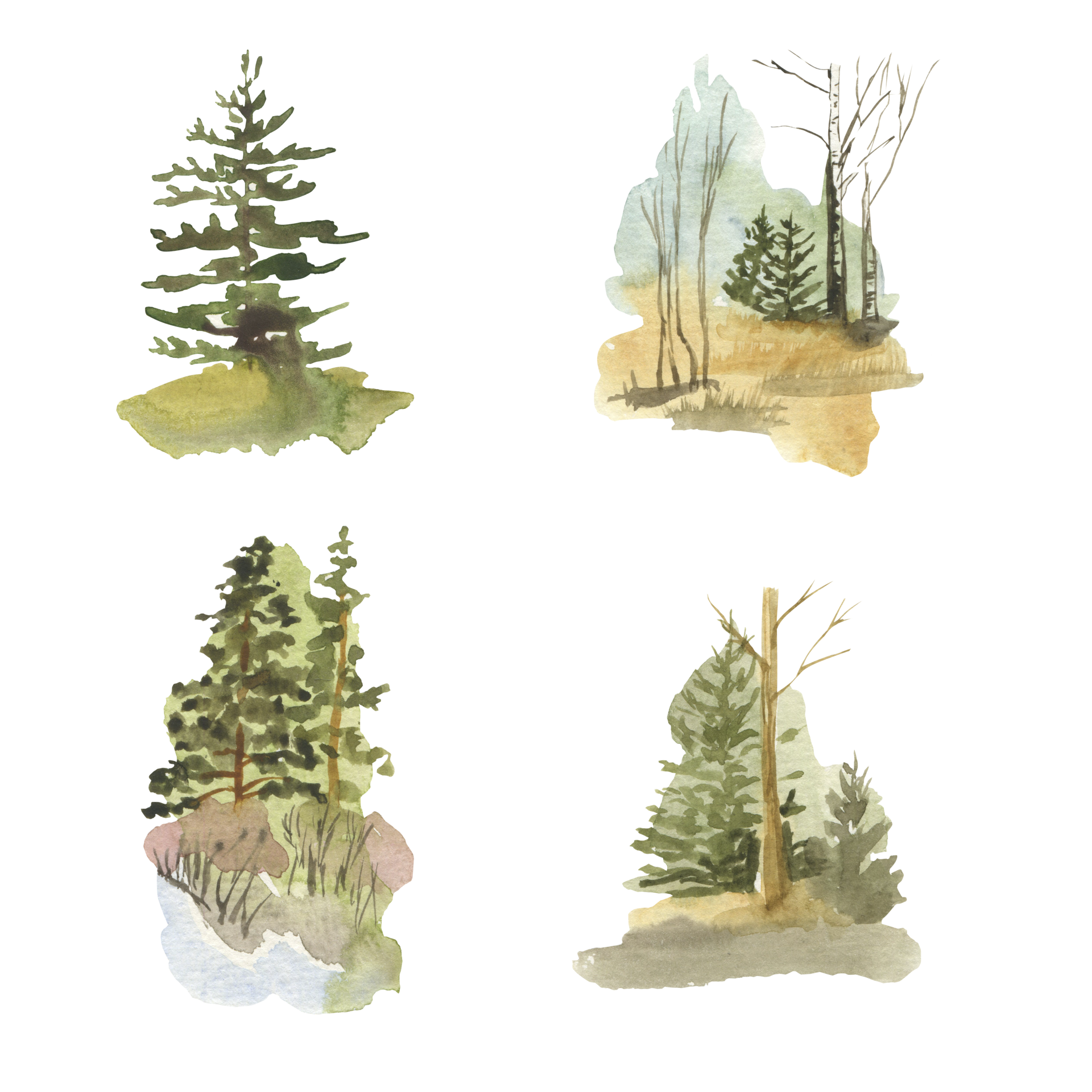 Free Set of watercolor spring trees on transparent background 23333795 ...