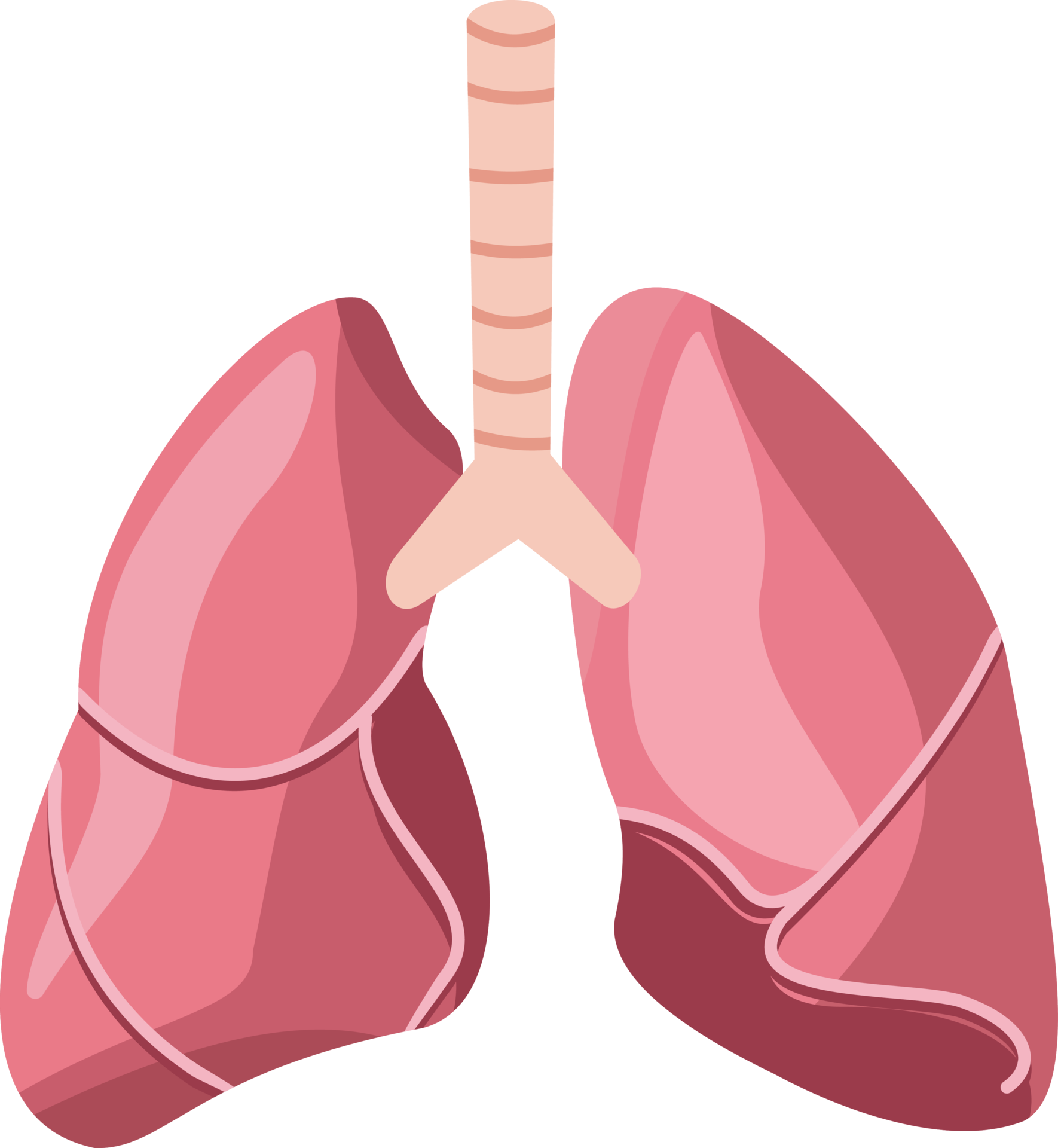 lungs cartoon illustration. lungs icon. lungs flat design. cartoon ... lungs cartoon illustration. lungs icon. lungs flat design. cartoon ...