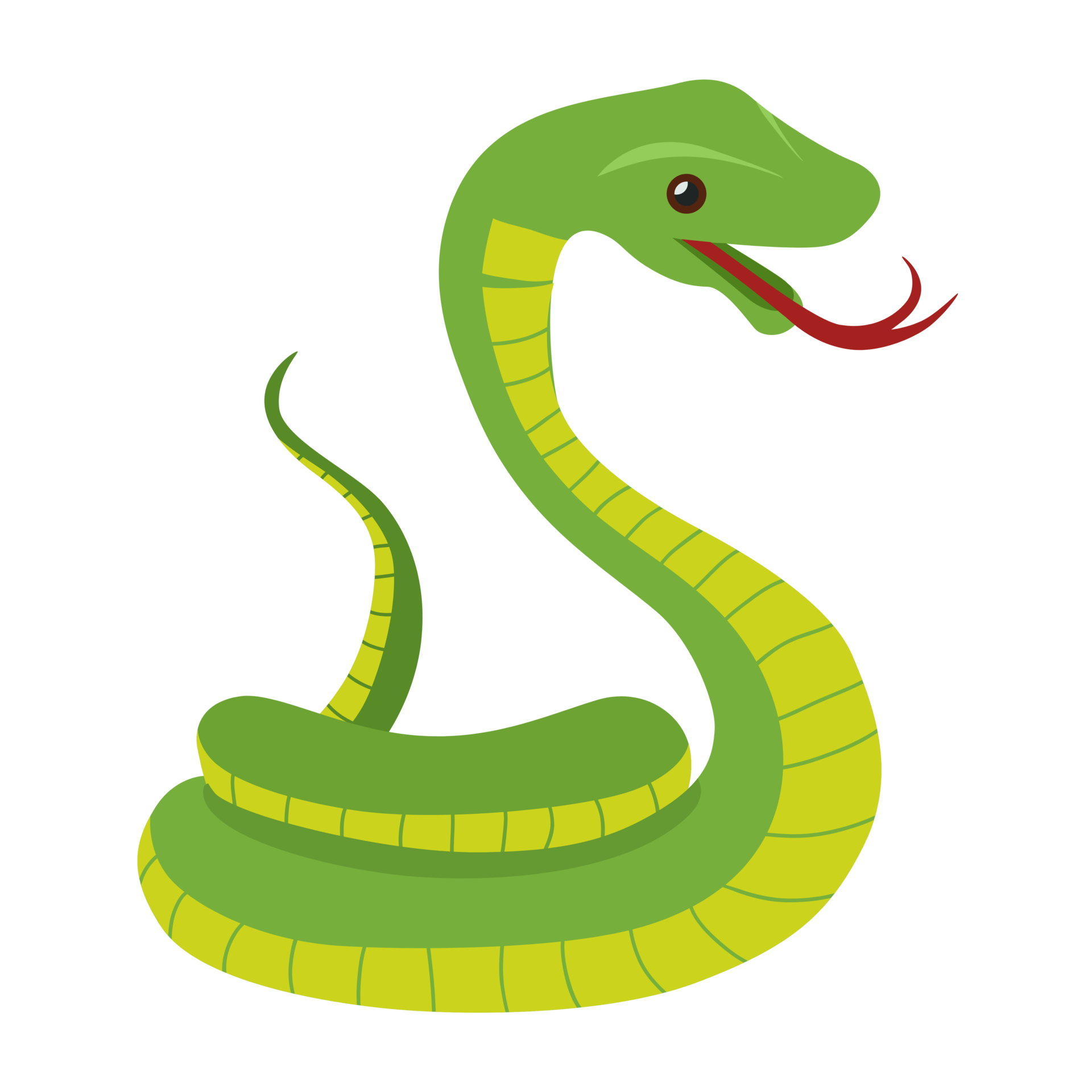 Free Green cartoon snake illustration 23353962 PNG with Transparent ...