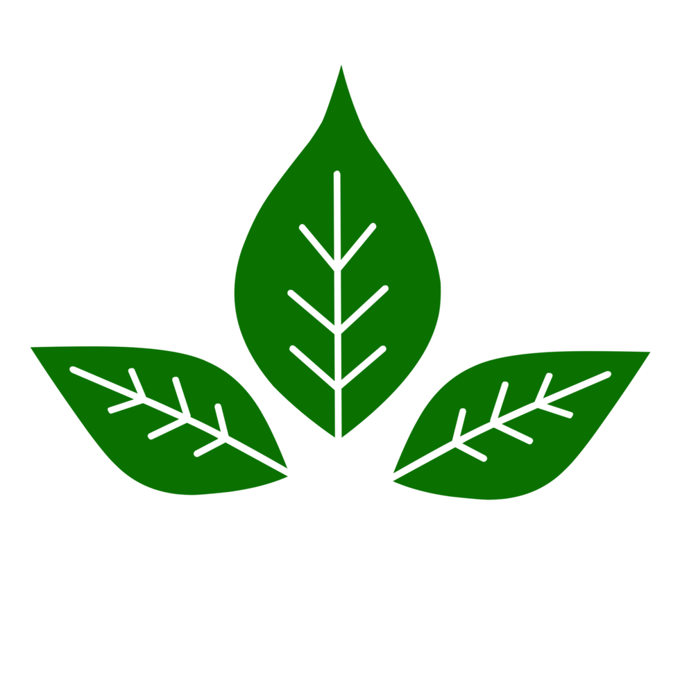 Icone De Folha Verde