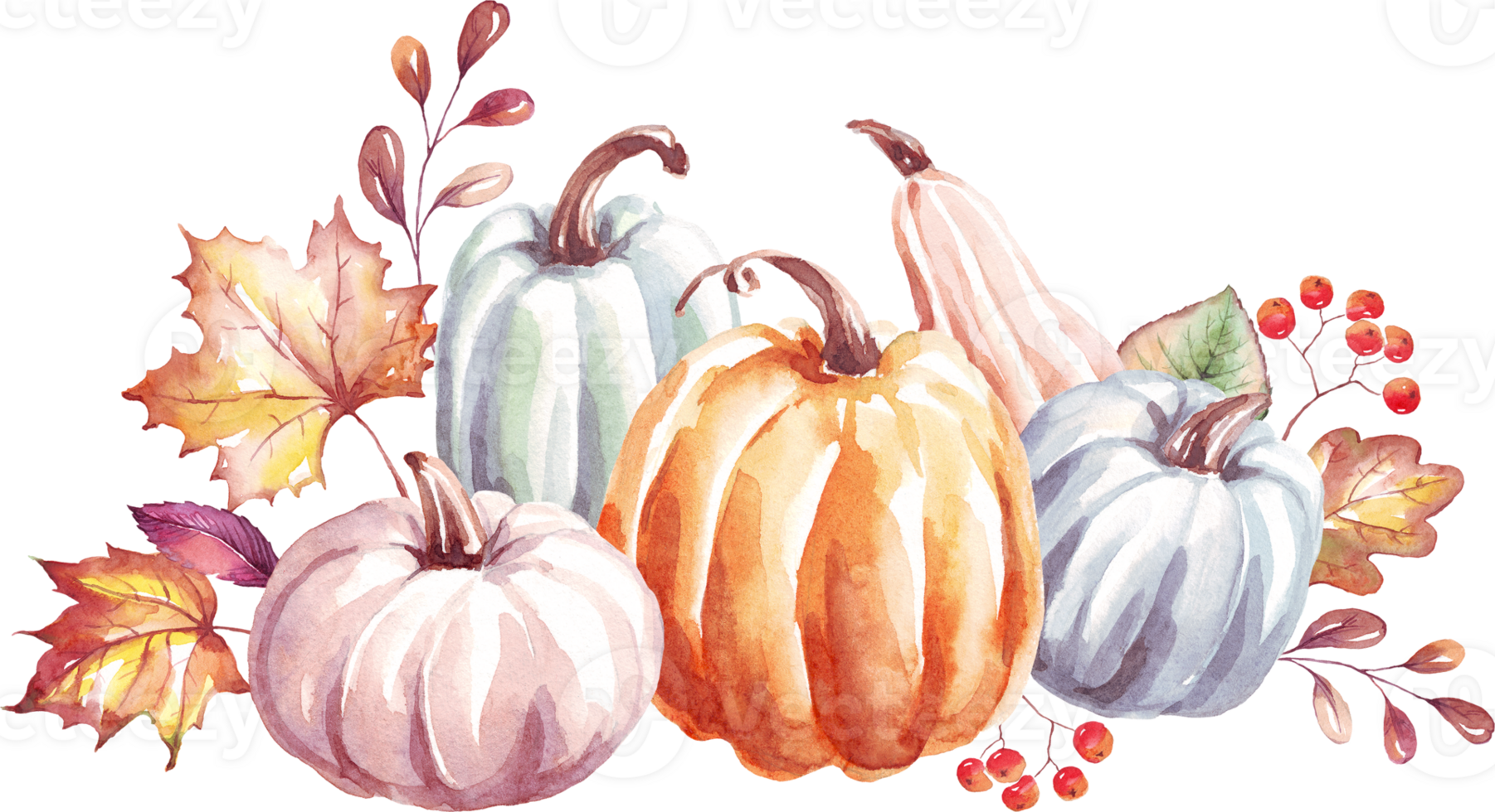 Pumpkins. Autumn mood. Watercolor clipart 23364866 PNG