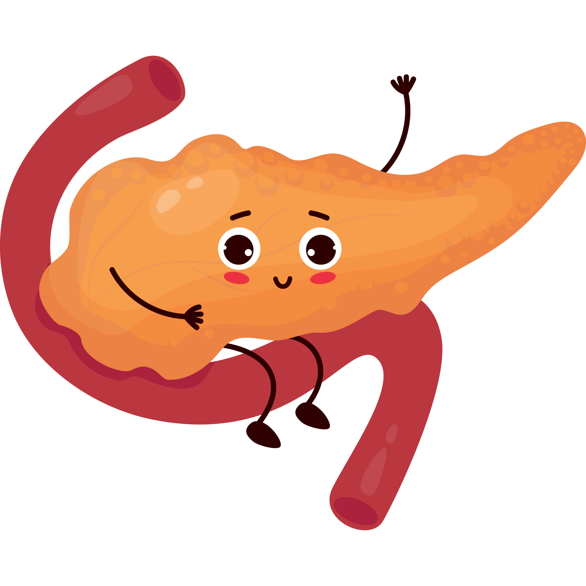 Cartoon Pancreas Cartoon Pancreas