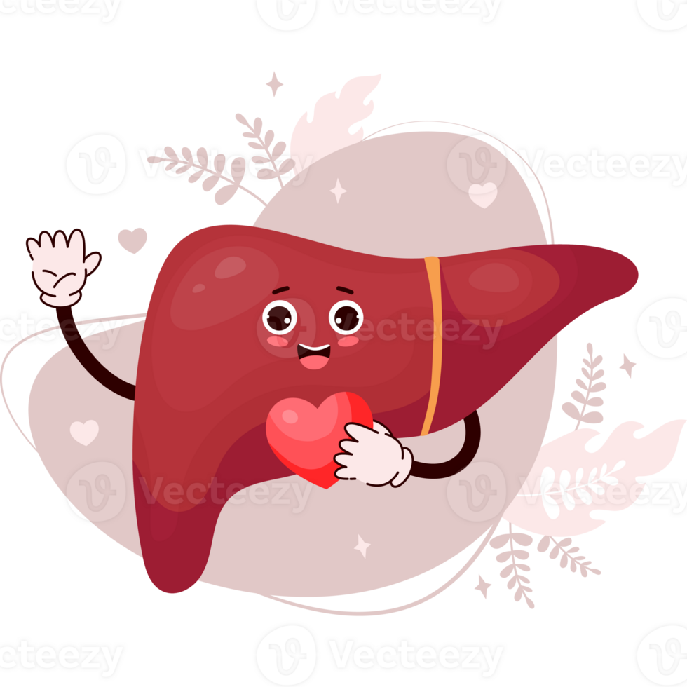 Happy Cartoon Liver Character 23367131 Png