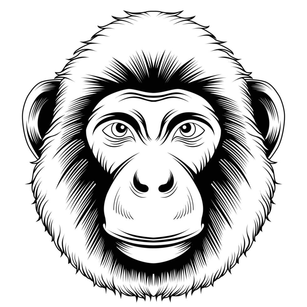Monkey head vector illustration 23368314 Vector Art at Vecteezy Monkey head vector illustration 23368314 Vector Art at Vecteezy