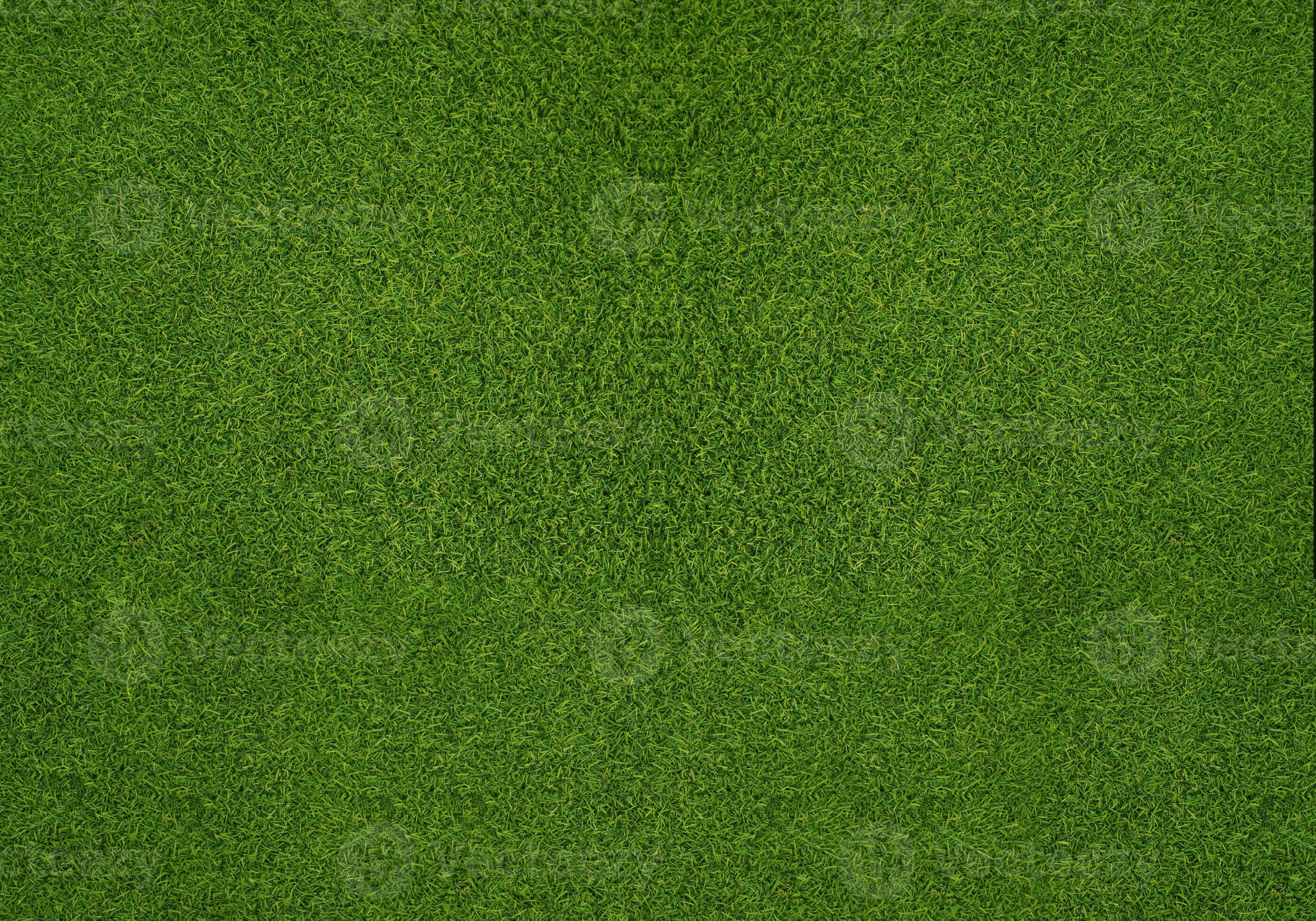 Green grass texture background grass garden concept used for making ... Green grass texture background grass garden concept used for making ...