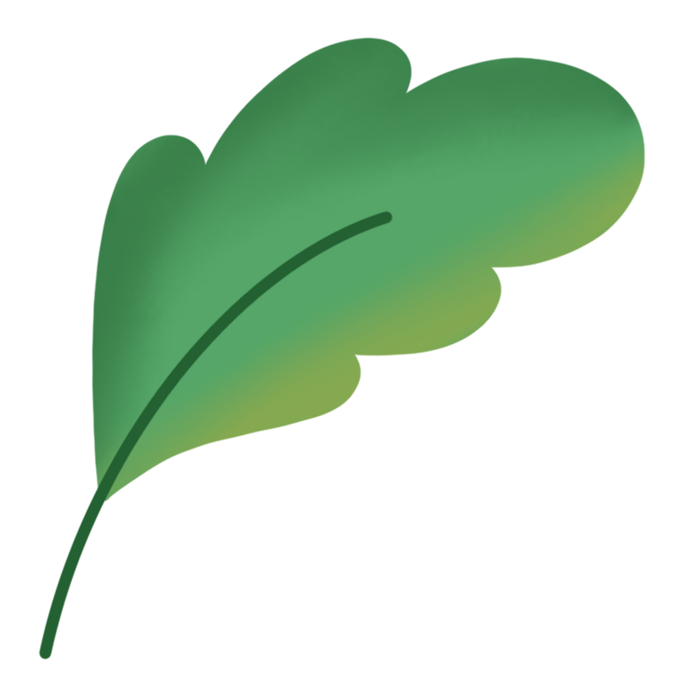 ilustração de folhas verdes 23377463 PNG ilustração de folhas verdes 23377463 PNG