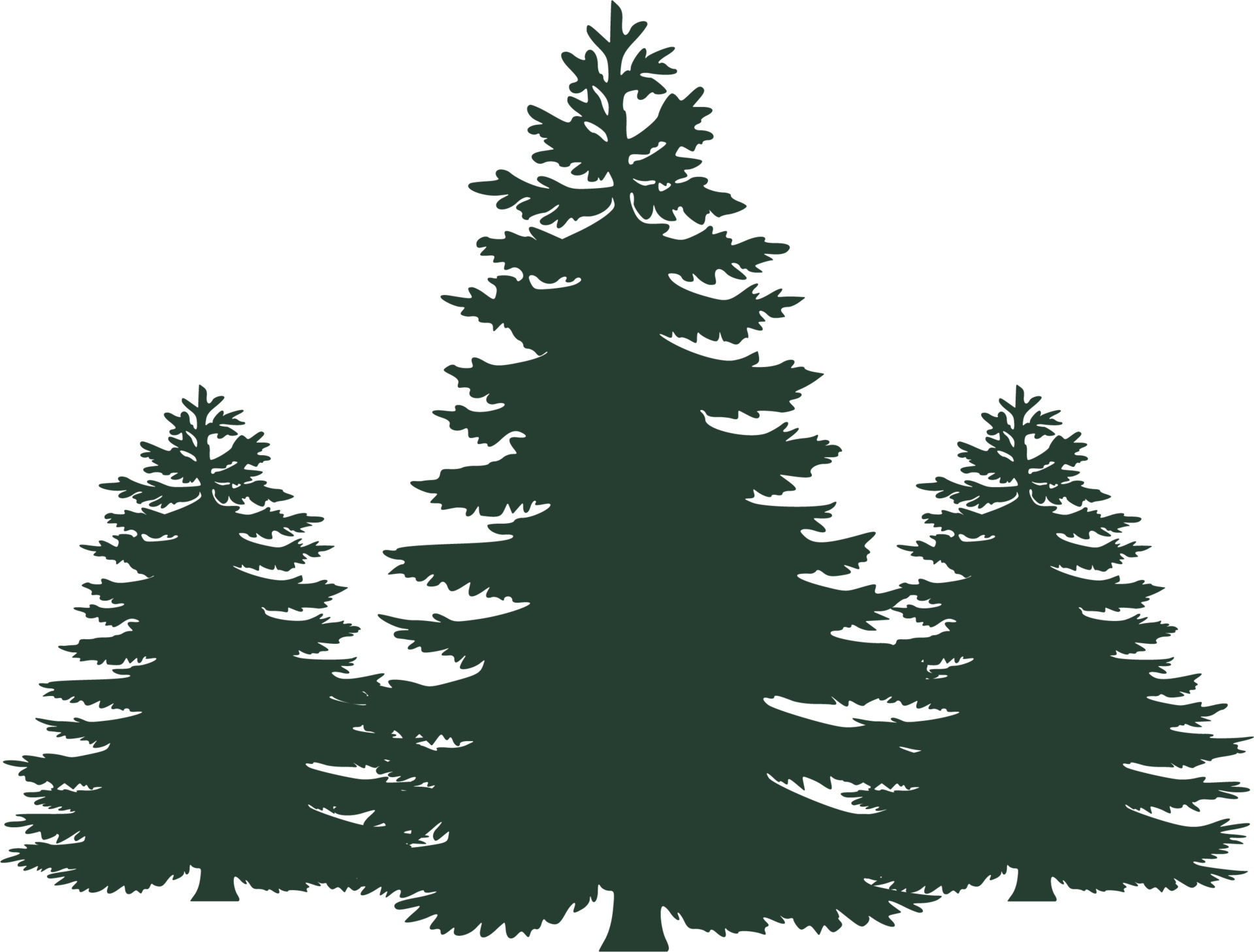 pine trees, Christmas trees, tree graphic, tree png, evergreen 23397583 PNG