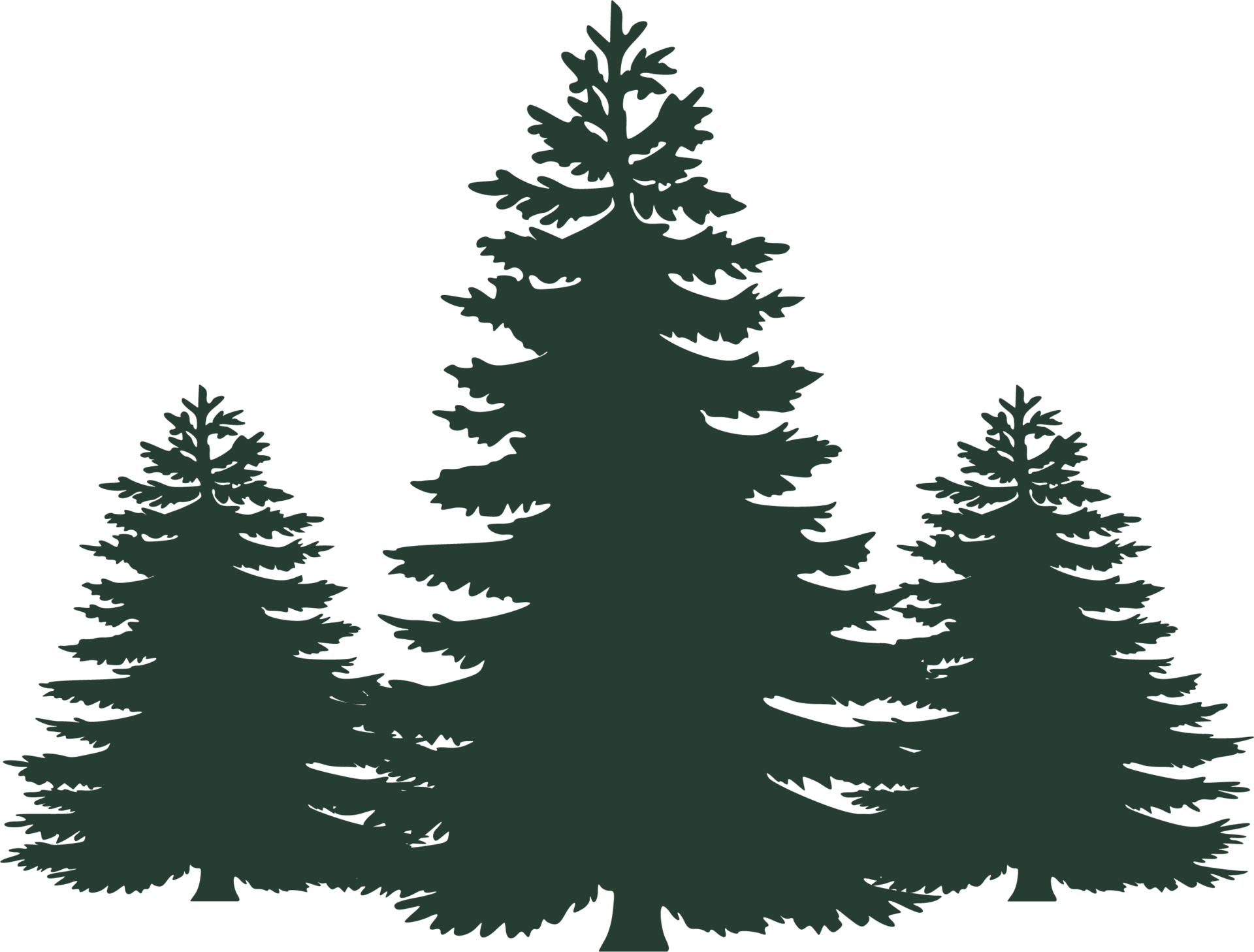 pine trees, Christmas trees, tree graphic, tree png, evergreen 23397583 PNG