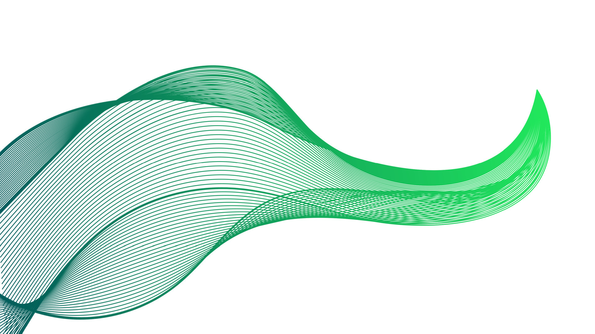 Abstract Backdrop With Colorful Wave Gradient Lines On White Background