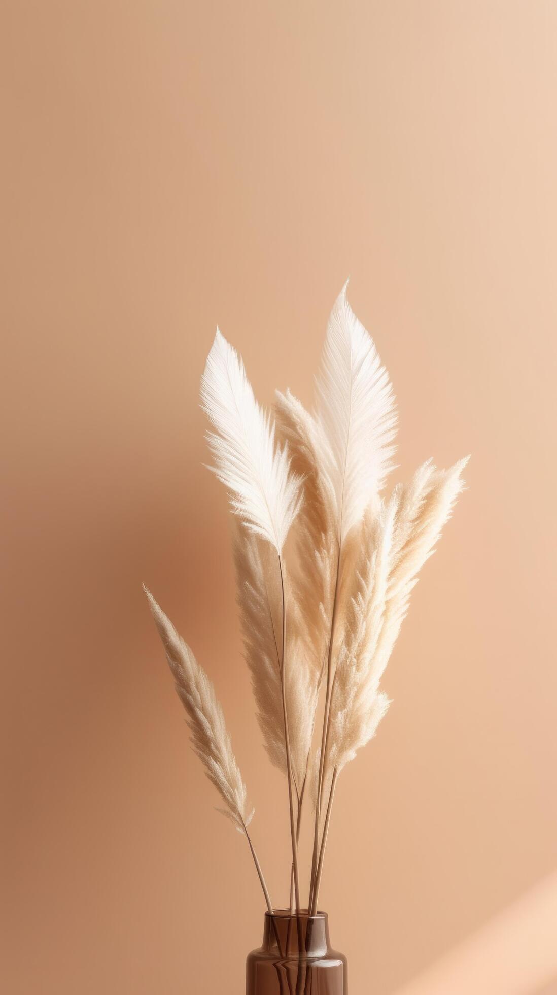 Pampas grass beige minimalist background. Illustration 23434440 Stock ... Pampas grass beige minimalist background. Illustration 23434440 Stock ...