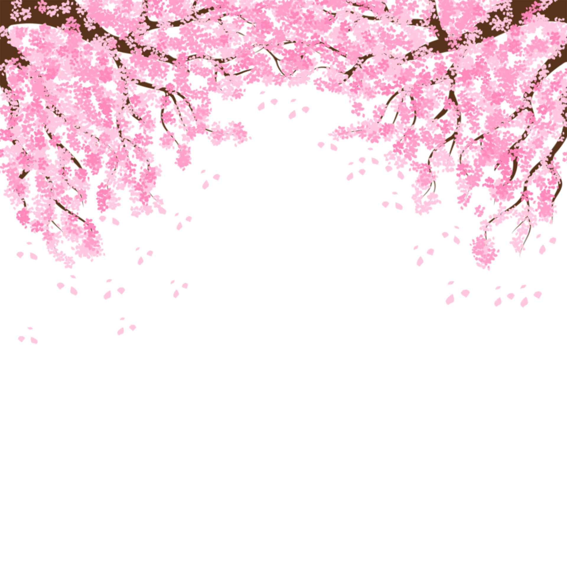 Hand Drawn Sakura Blossom 23450902 Png