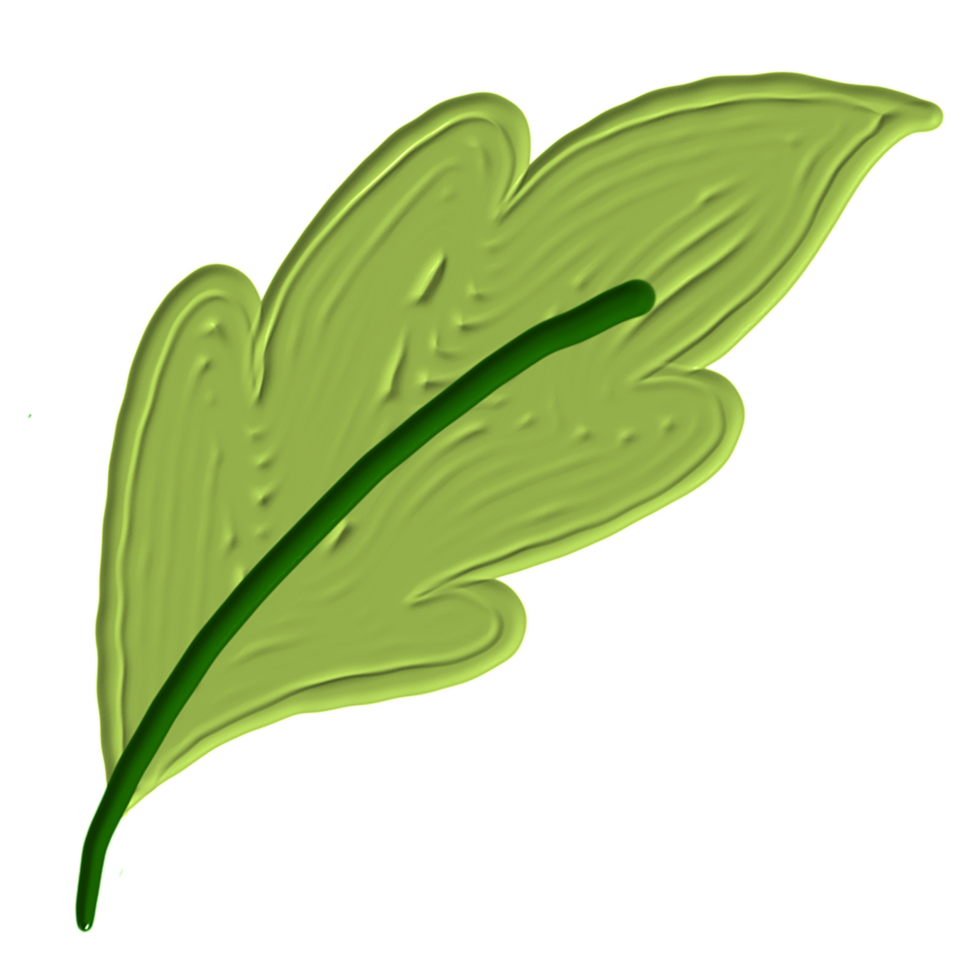 A Green Leaf 23451144 Png