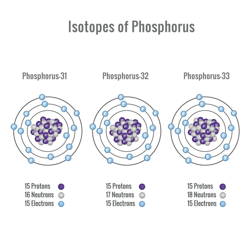 Isotopes of Phosphorus atom vector illustration 23452881 Vector Art at ... Isotopes of Phosphorus atom vector illustration 23452881 Vector Art at ...