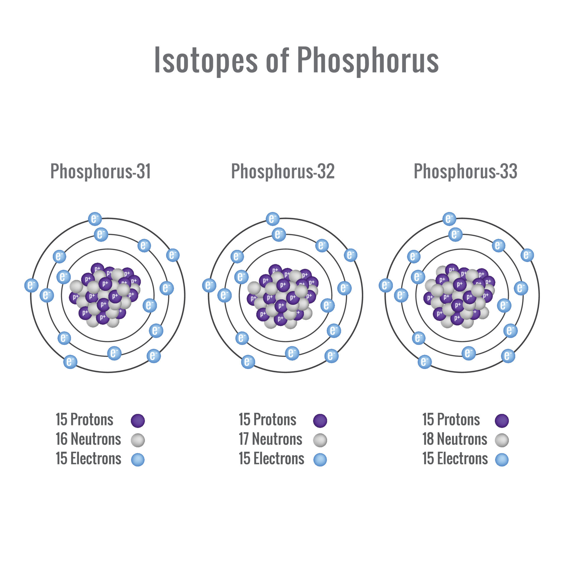 Isotopes of Phosphorus atom vector illustration 23452881 Vector Art at ... Isotopes of Phosphorus atom vector illustration 23452881 Vector Art at ...