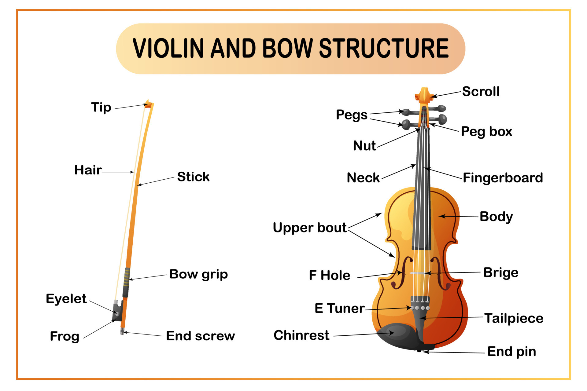 Violin and bow infographic. The structure of a musical instrument ... Violin and bow infographic. The structure of a musical instrument ...