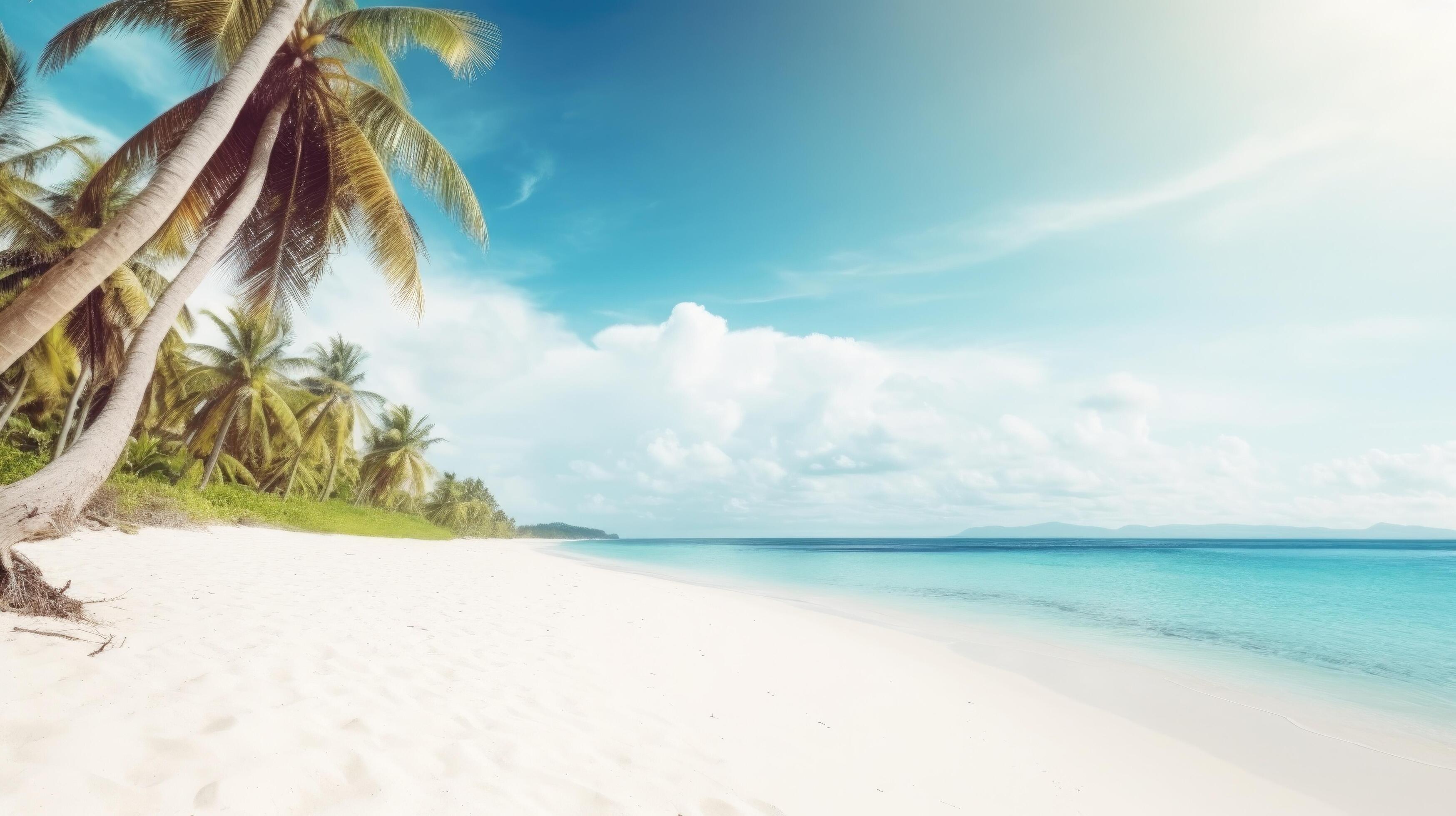 Palms on the beach. Illustration 23461085 Stock Photo at Vecteezy