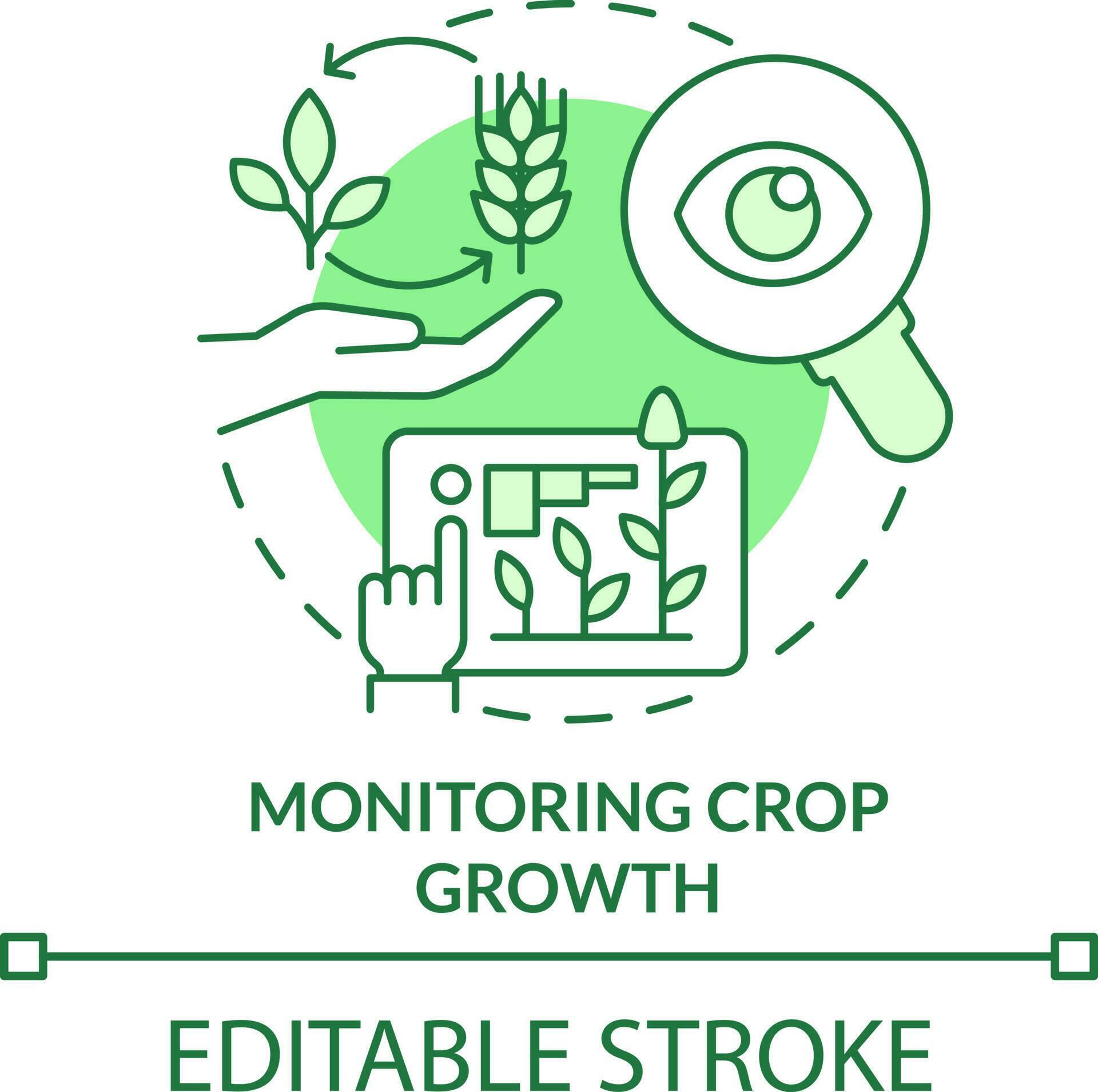 Monitoring crop growth green concept icon. Observe progress. Increased ... Monitoring crop growth green concept icon. Observe progress. Increased ...