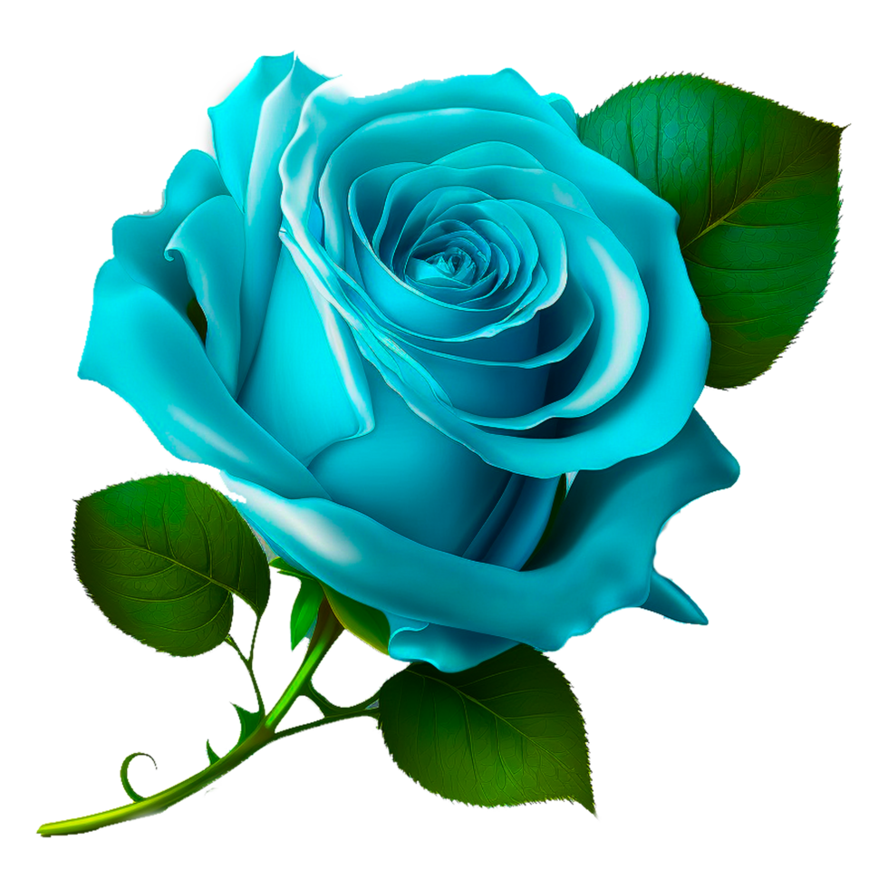 Free azul Rosa png 23505465 PNG with Transparent Background Free azul Rosa png 23505465 PNG with Transparent Background