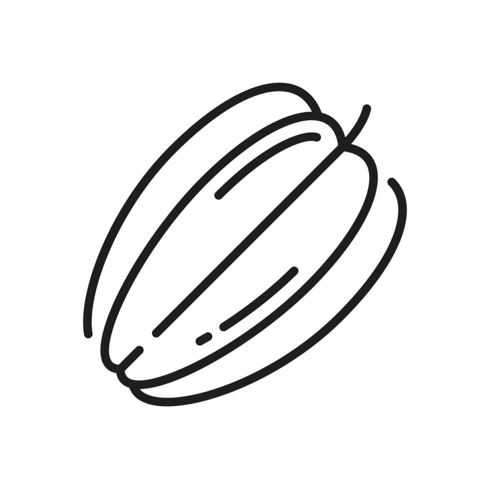 starfruit-isolated-star-shape-fruit-carambola-icon-23518472-vector-art