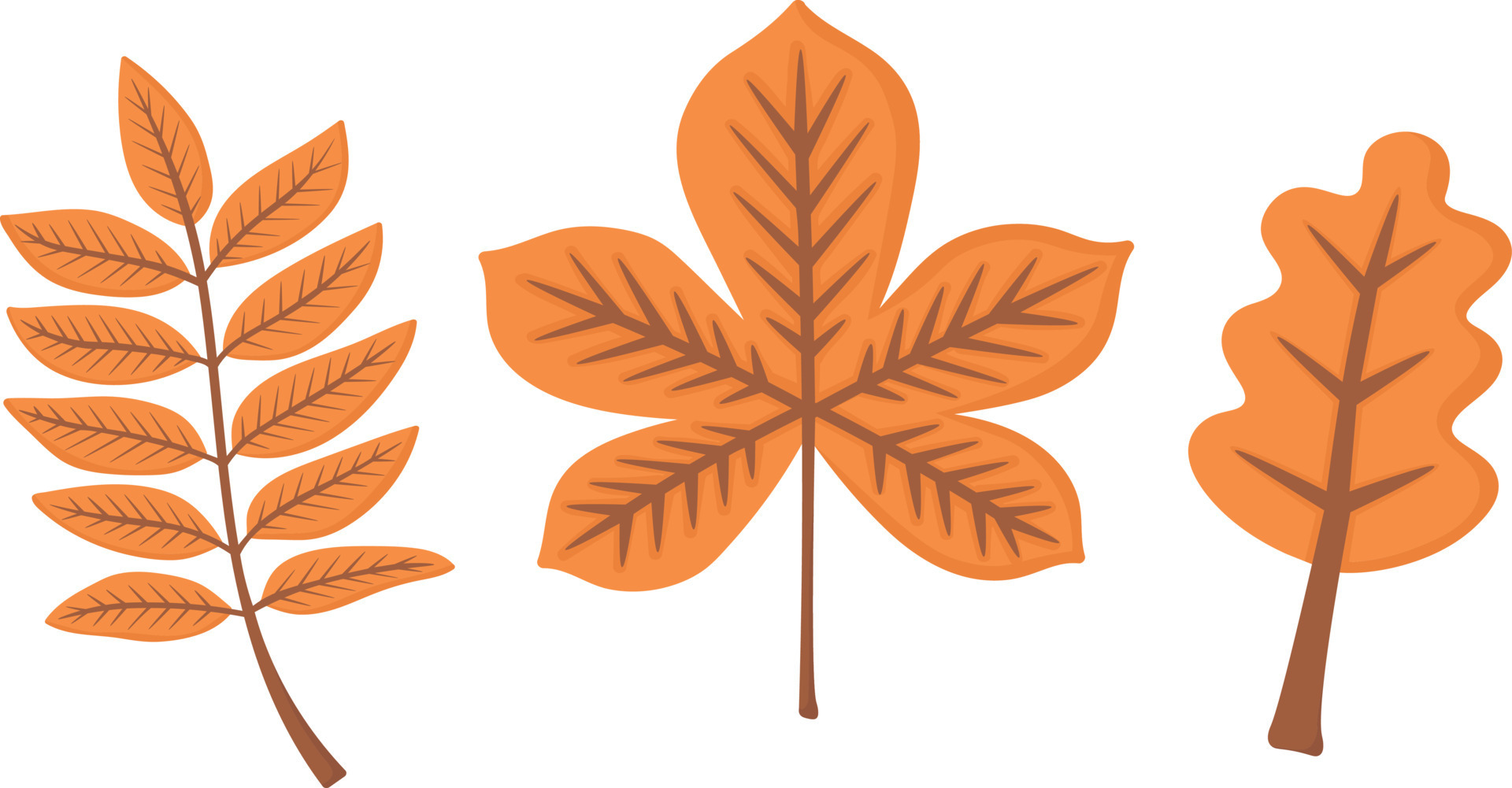 Doodle flat clipart. Autumn leaf fallen from a tree. All objects are ...