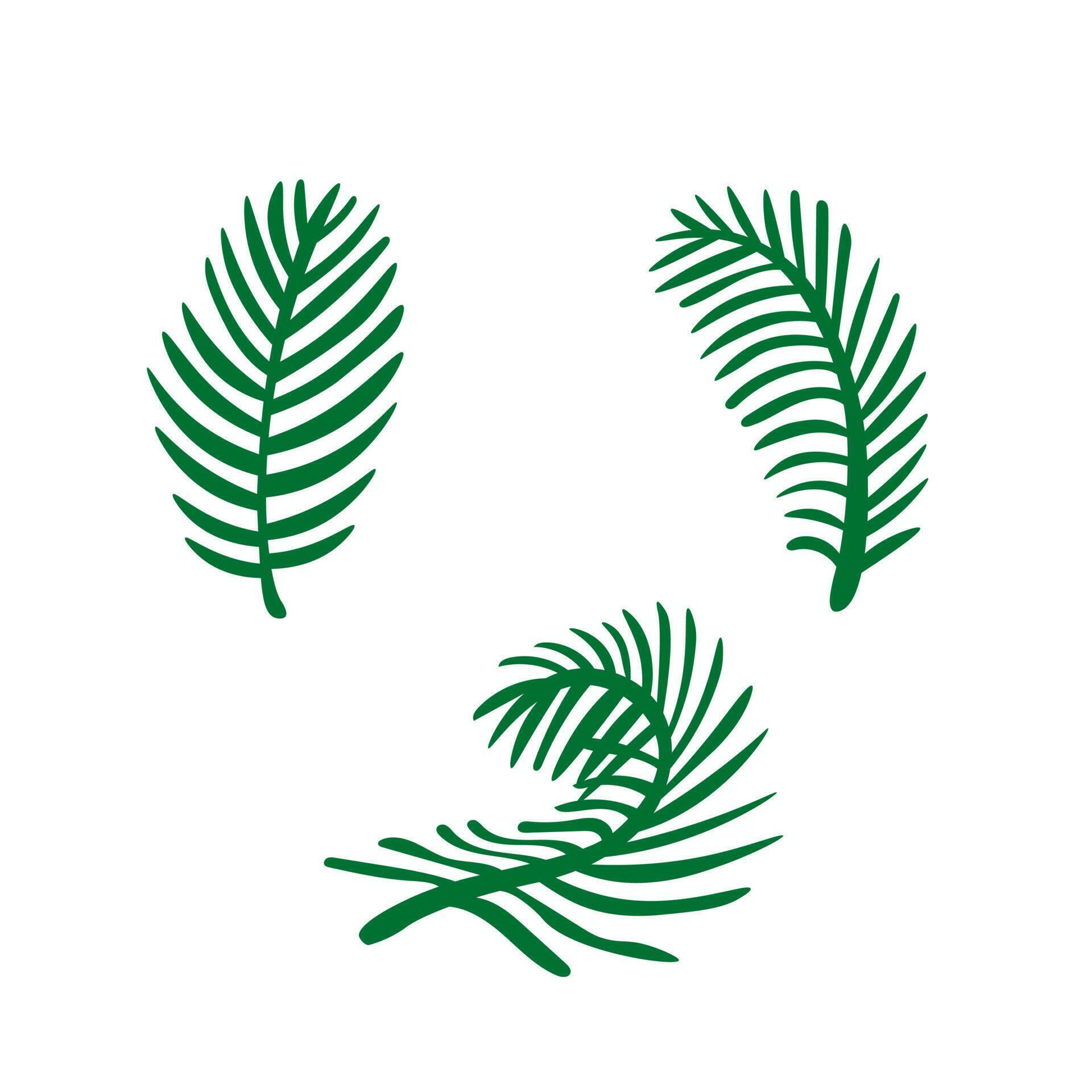 Palm tree leaves vector set 23546619 Vector Art at Vecteezy Palm tree leaves vector set 23546619 Vector Art at Vecteezy