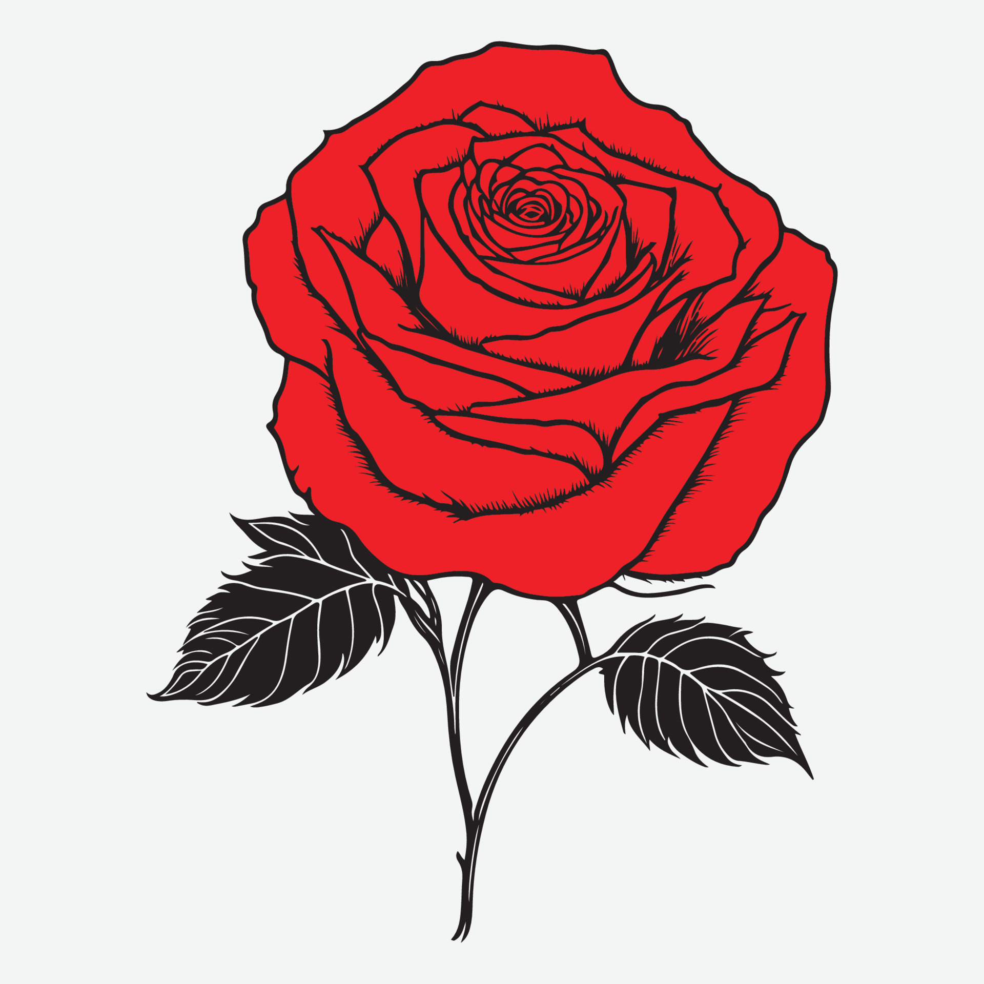 Hand Drawn Rose Black Outline Vector On White Background Red Rose Vector Rose Flower 23548901