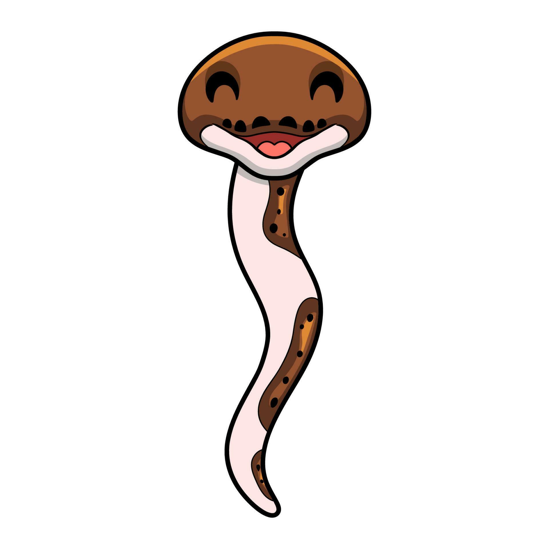 Cute pied reticulated python cartoon 23556242 Vector Art at Vecteezy