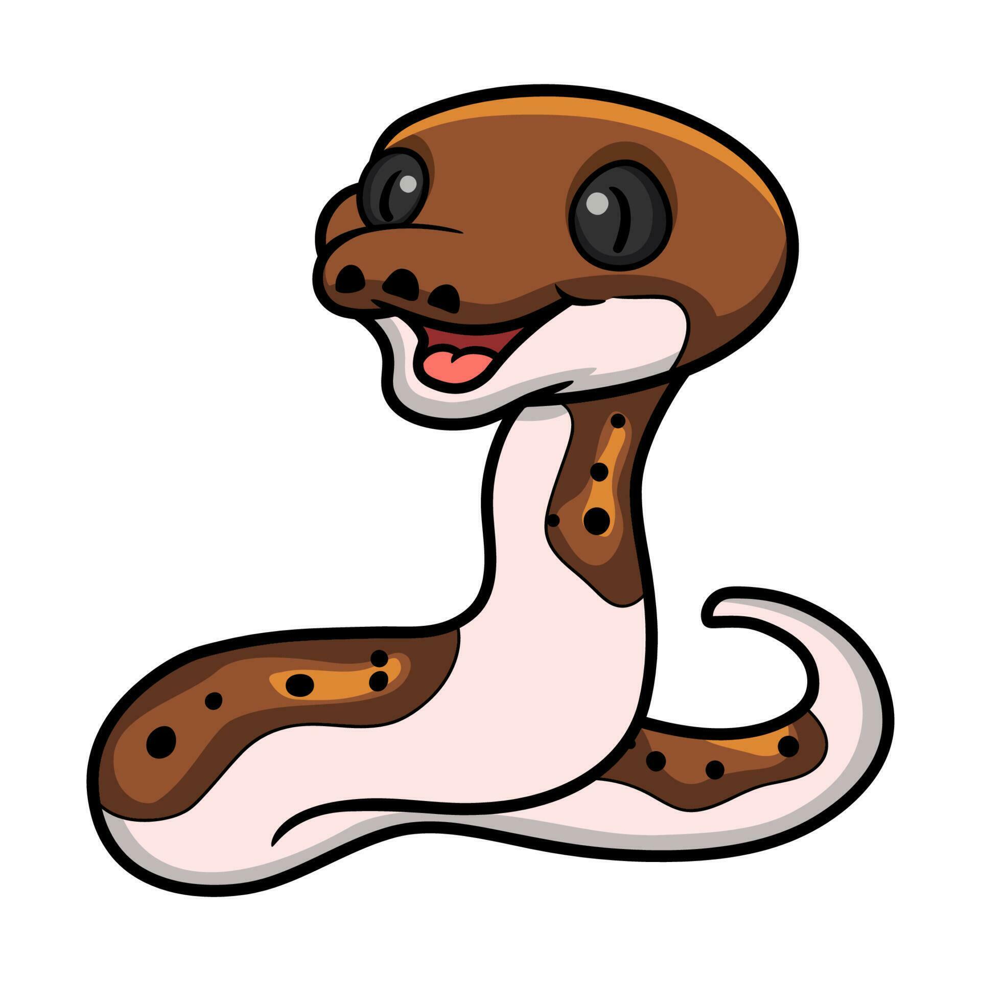 Cute pied reticulated python cartoon 23556243 Vector Art at Vecteezy
