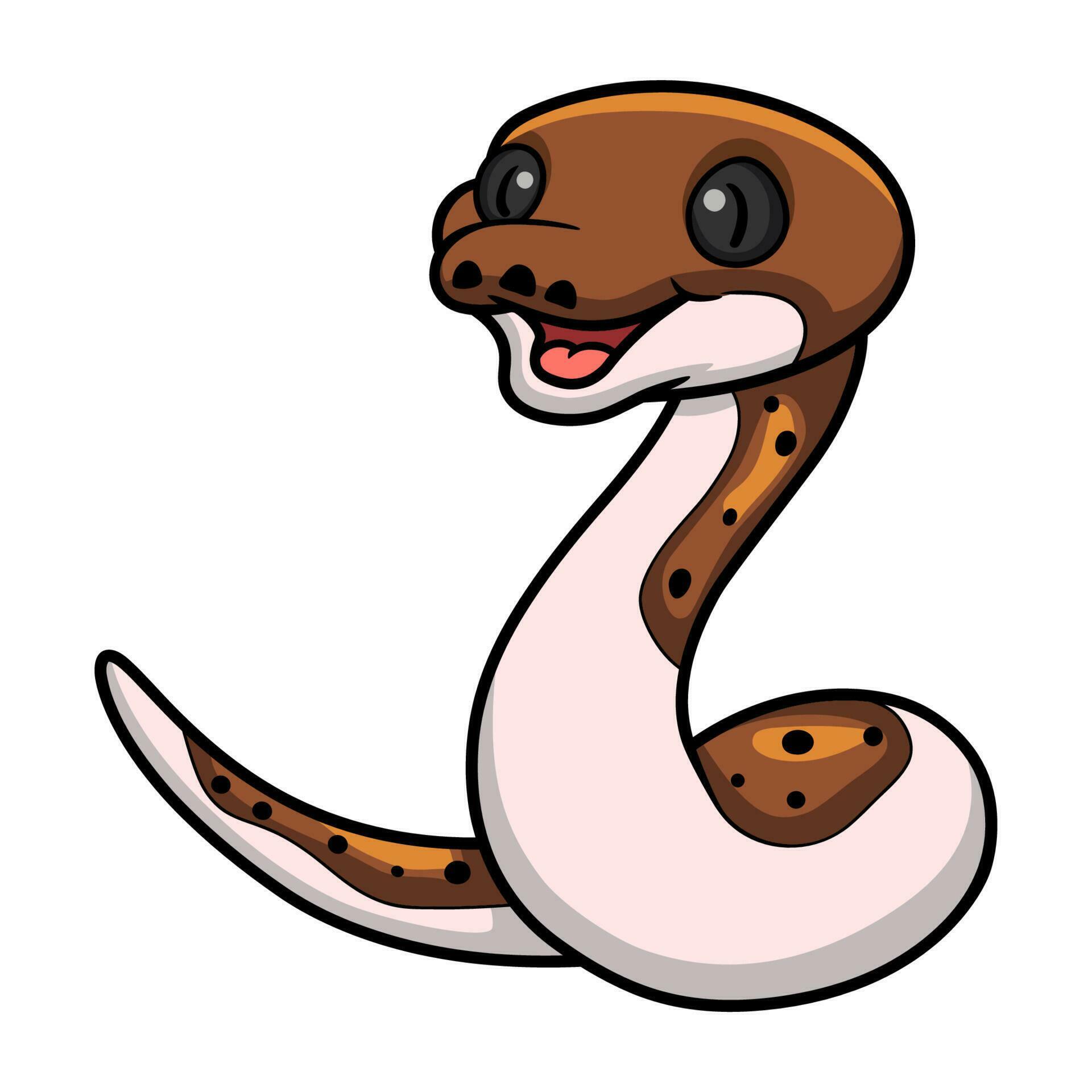 Cute pied reticulated python cartoon 23556244 Vector Art at Vecteezy