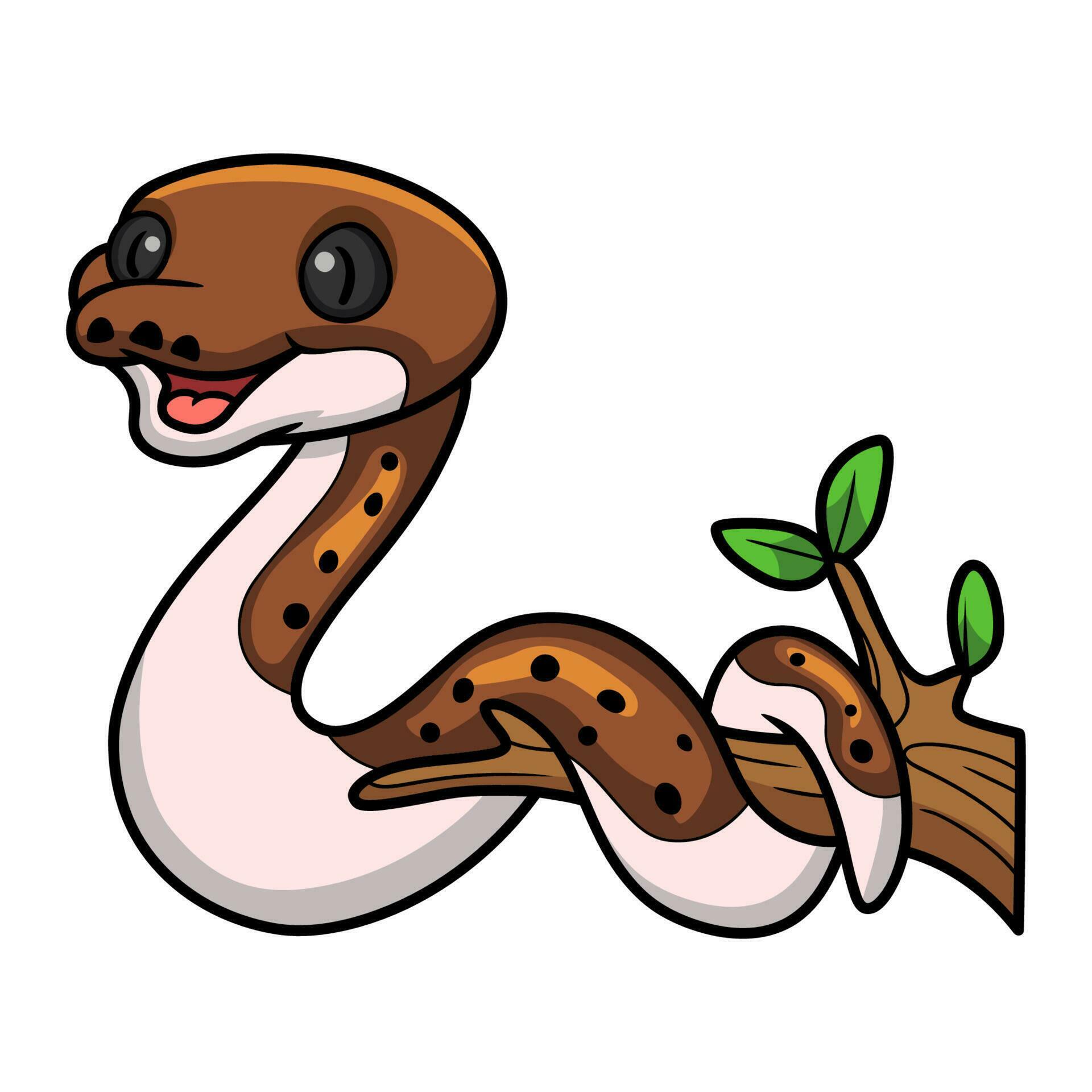Cute pied reticulated python cartoon on tree branch 23556247 Vector Art ...
