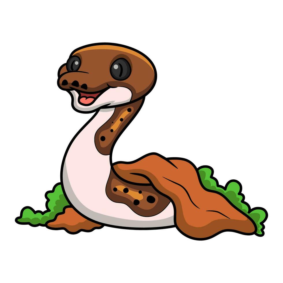 Cute pied reticulated python cartoon out from hole 23556249 Vector Art ...