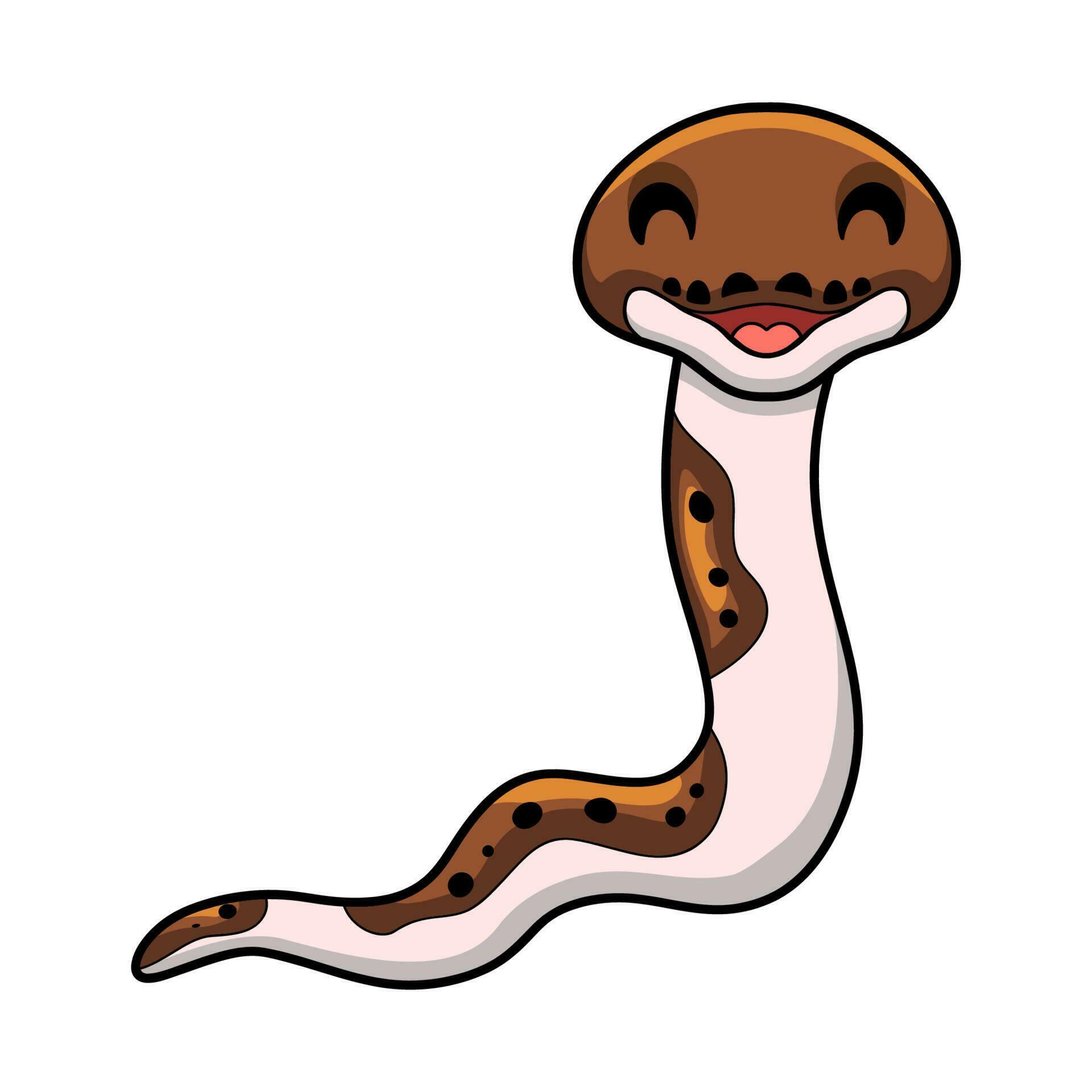 Cute pied reticulated python cartoon 23556251 Vector Art at Vecteezy