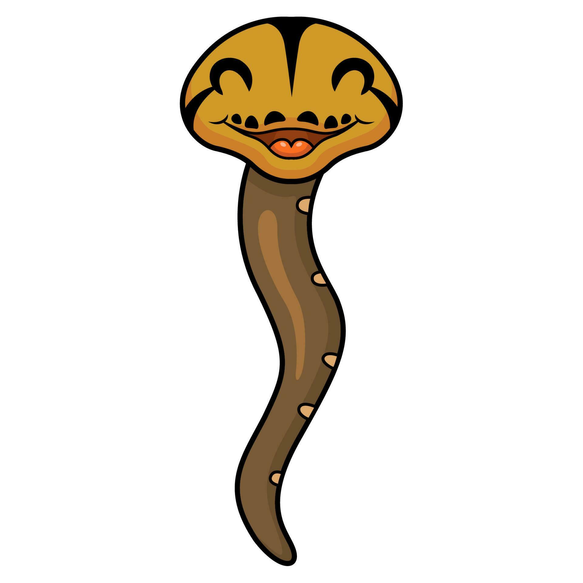 Cute golden child reticulated python cartoon 23556261 Vector Art at ...