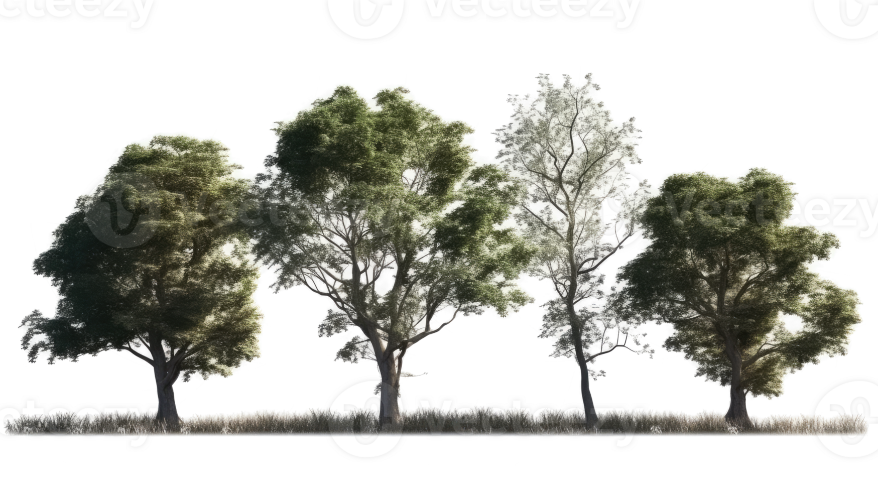 landscape tree on transparent background. 23556822 PNG