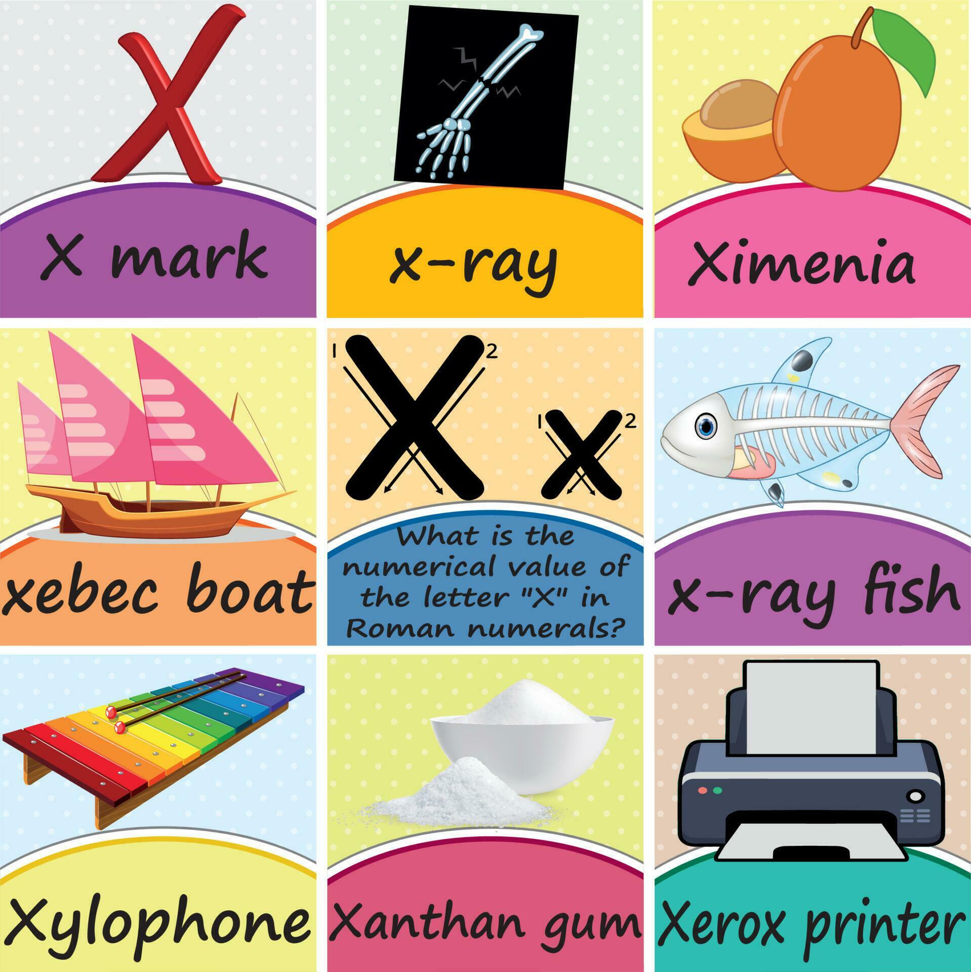 Alphabet Letter Xx Word Poster Flashcards Printable Classroom Decor for Preschool, Kindergarten ...