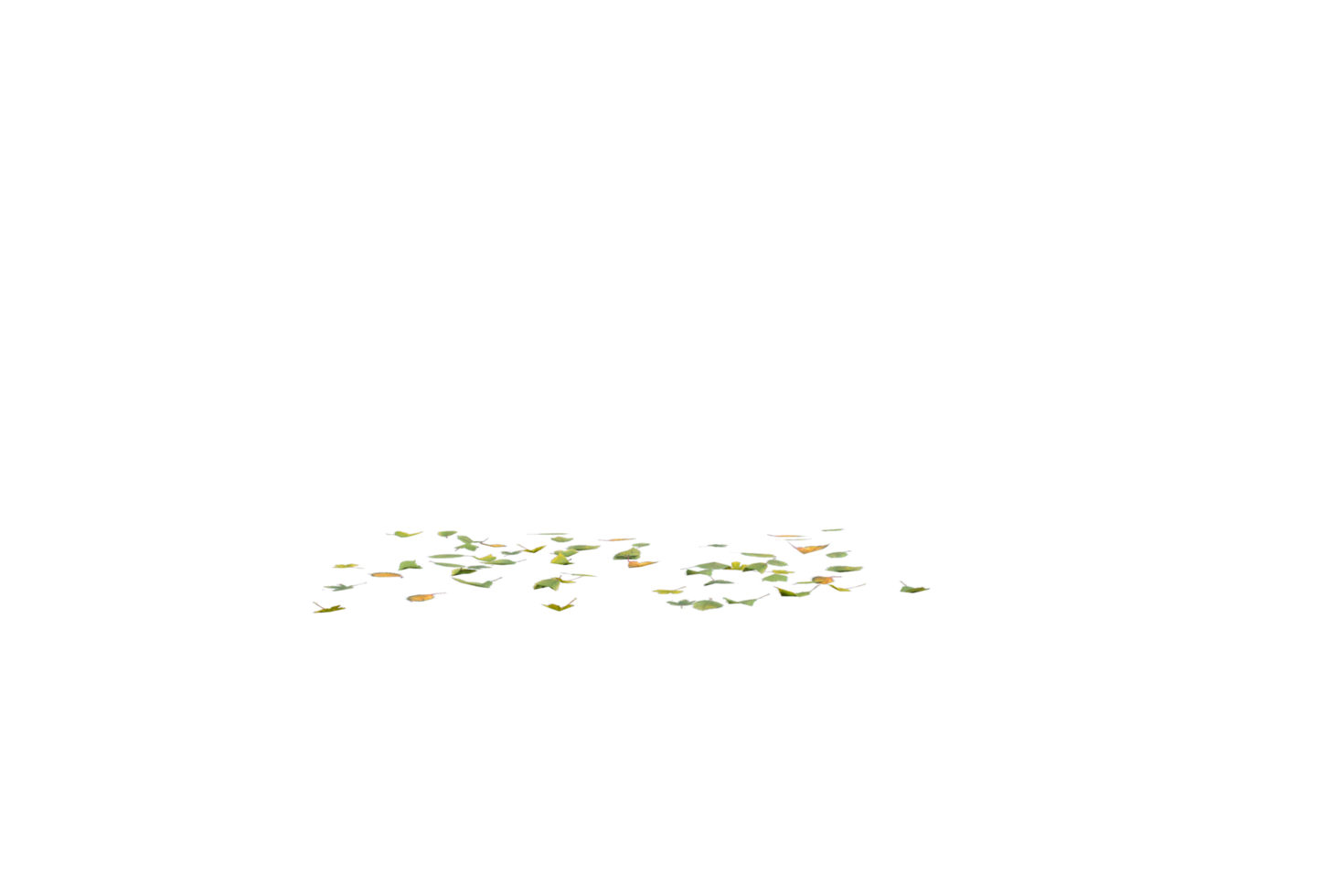 Fall Leaves On The Ground Clear Png 23610823 Png