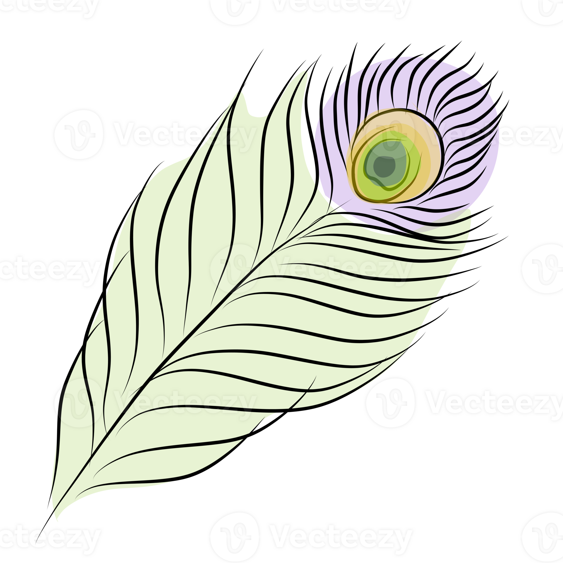 Peacock Feather Illustration 23617523 Png