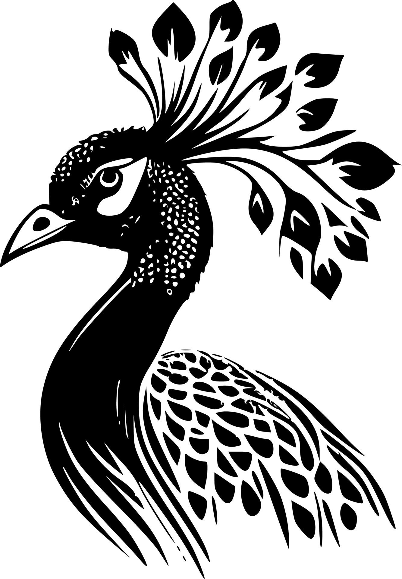 Peacock Vector Black And White