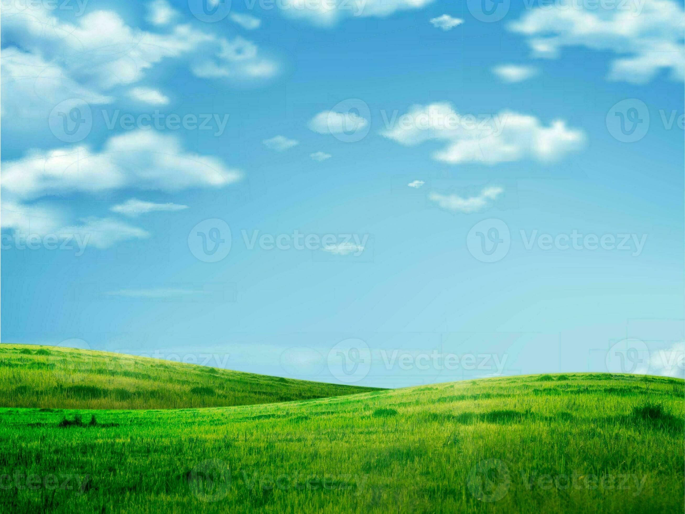 garden, nature, sky, landscape, green, tree, grass, plant, spring ...