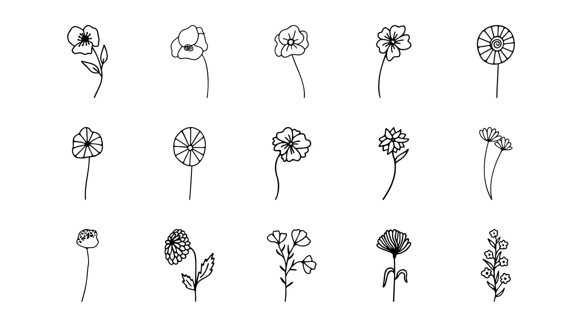 Hand Drawn Herbal Floral Clipart Collection One Line Doodle Vector