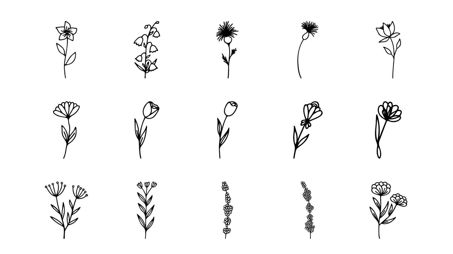 Hand Drawn Herbal Floral Clipart Collection One Line Doodle Vector