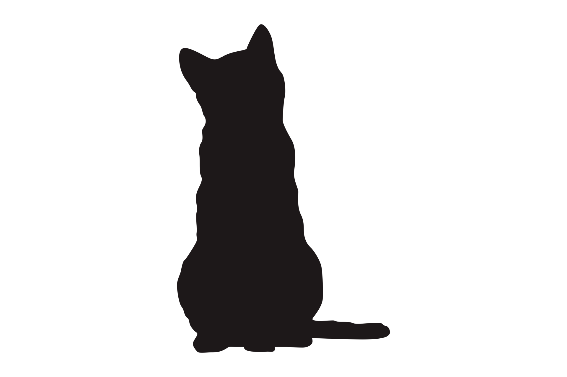 Cat Silhouette On Transparent Background 23630230 PNG